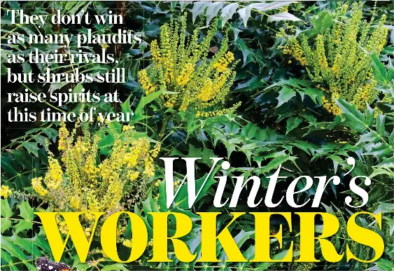 Winter’s WORKERS - PressReader
