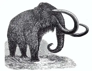 Should we bring wooly mammoths back to life? - PressReader
