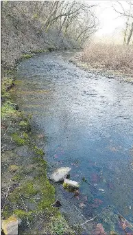 Flint Creek preserve offers spring-fed stream, trails - PressReader
