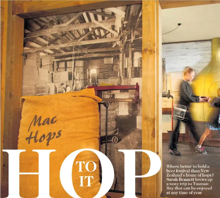 HOP TO IT Nelson’s beer festival, in New Zealand’s heartland of hops - PressReader