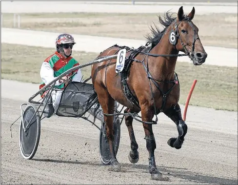 Tex on target from long-range - PressReader