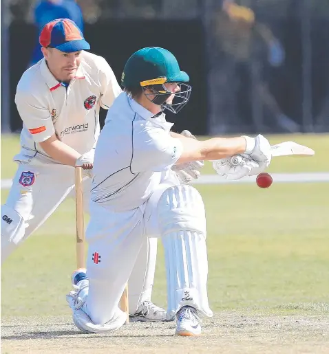 Brown’s big bash bugs Bears - PressReader