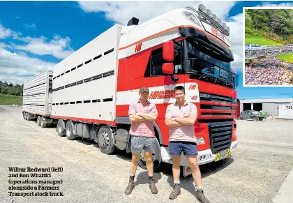 ‘Creak’ as truckie crosses bridge - PressReader