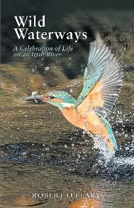 Wild about River Dodder wildlife - PressReader