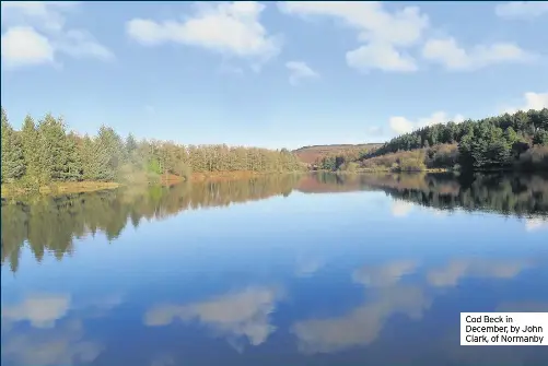 Age is all about numbers - PressReader