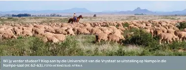 Universite­it van die Vrystaat: K ovsies kyk nuut na landbou-opleiding - PressReader