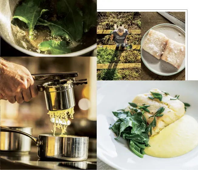 POACHED POLLOCK WITH MOUSSELINE POTATO - PressReader