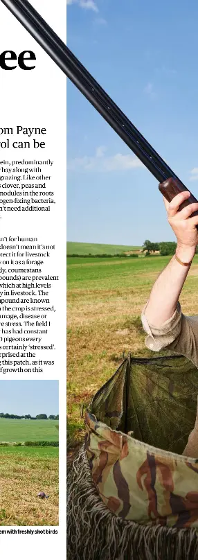 A stress-free situation - PressReader