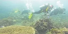 NORTHERN SAMAR AIMS TO BECOME DIVING CAPITAL OF EASTERN VISAYAS ...