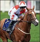 Danny’s Boy springs huge shock in Chesham Stakes - PressReader