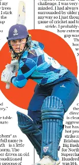 Tree surgeon carves niche as big hitter for England - PressReader