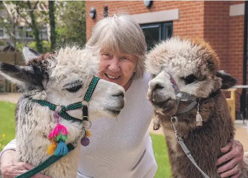 Criticism of beach ramp closure at Shoreham - PressReader
