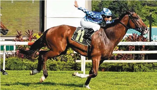 DREAM ALLIANCE HARD TO BEAT - PressReader