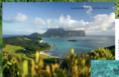 EXPERIENCI­NG LORD HOWE ISLAND - PressReader