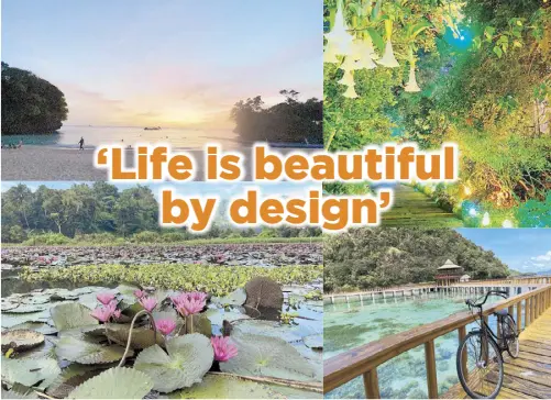‘Life is beautiful by design’ - PressReader