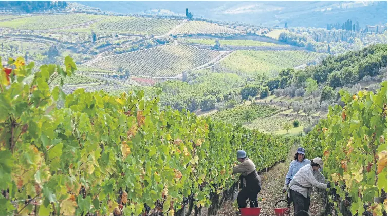 On the near horizon - PressReader