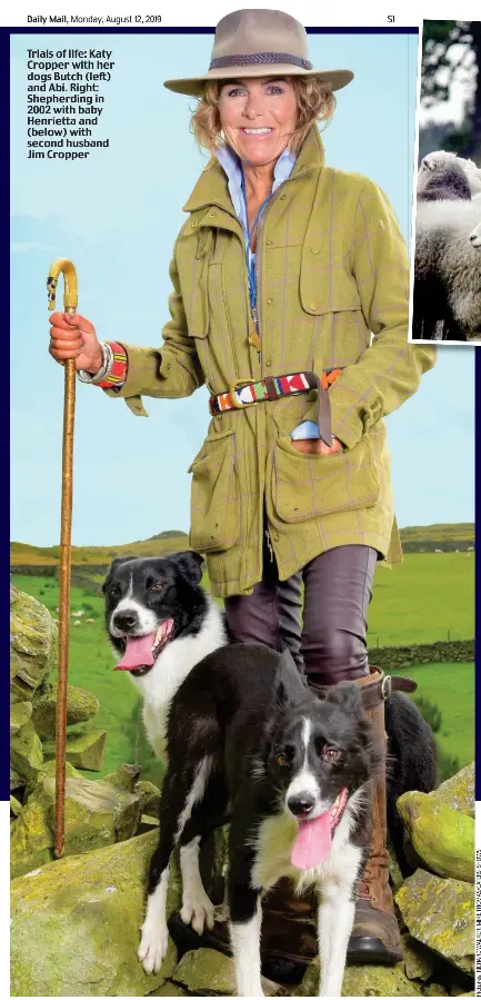 I’m fed up with men. Why can’t they be more like sheepdogs? - PressReader