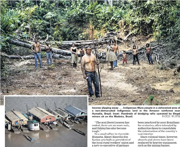 Deforestat­ion left i llegal mining as only means of survival - PressReader