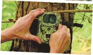 Wildlife camera trap project wins national award - PressReader