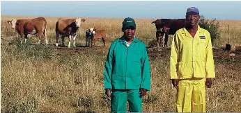 Legendarie­se Llewellyn Angus: 10 beginsels vir beessukses (en ander ...