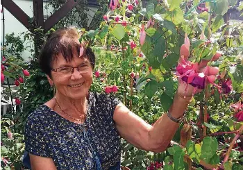 Wo mehr als 220 Fuchsien blühen - PressReader