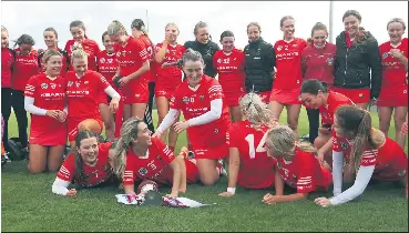 Rebels bag Division 2B crown against Tipp - PressReader