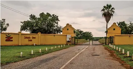 Liquidatio­n looms large for Zebediela Citrus - PressReader