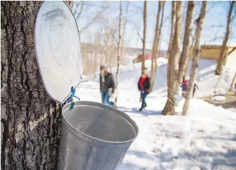 « Cette industrie est sur le point d’atteindre une croissance importante » - PressReader