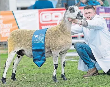 Dream comes true with supreme champ award - PressReader