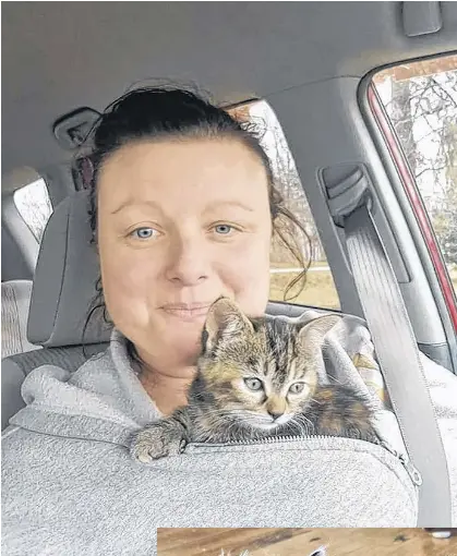 A purr-fect day at the brewery - PressReader