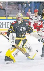 Die chronische Auswärtssc­hwäche der Krefeld Pinguine - PressReader