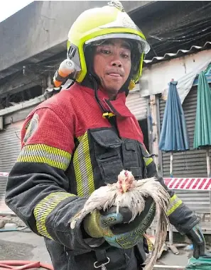 Deadly fire hits pet market - PressReader