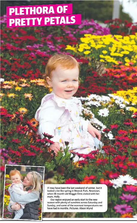 PLETHORA OF PRETTY PETALS - PressReader