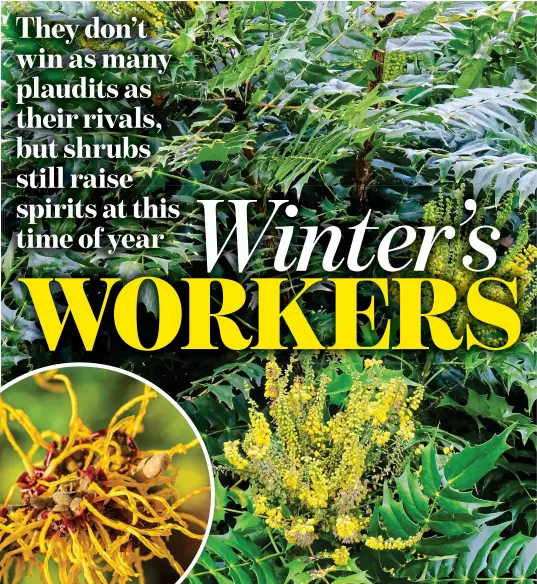 Winter’s WORKERS - PressReader