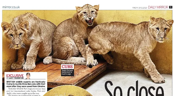 So close.. yet so far - PressReader