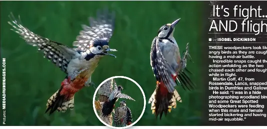 It’s fight... AND flight - PressReader