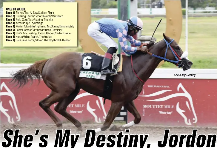 She’s My Destiny, Jordon Reign’s set for epic duel - PressReader