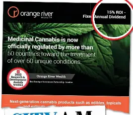 How did City A.M. fail to weed out issue with cannabis investment? - PressReader