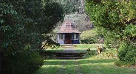 Inside the magnificen­t world of Scotland’s crucial moss species ...