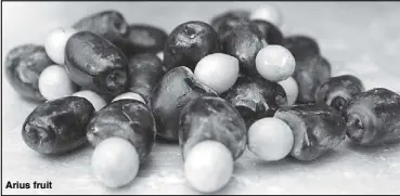 Uniquely Batanes: Arius food products - PressReader