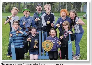 Bowled overby cricket fun in Meigle - PressReader