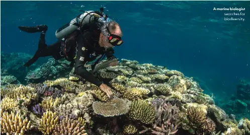 CORAL FUTURES EXPEDITION - PressReader