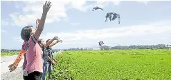 CANDABA SWAMP UNDER CLOSE WATCH FOR ILLEGAL HUNTING OF MIGRATORY BIRDS ...