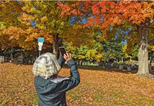 How our California friend helped us see fall’s colors with a fresh perspectiv­e - PressReader