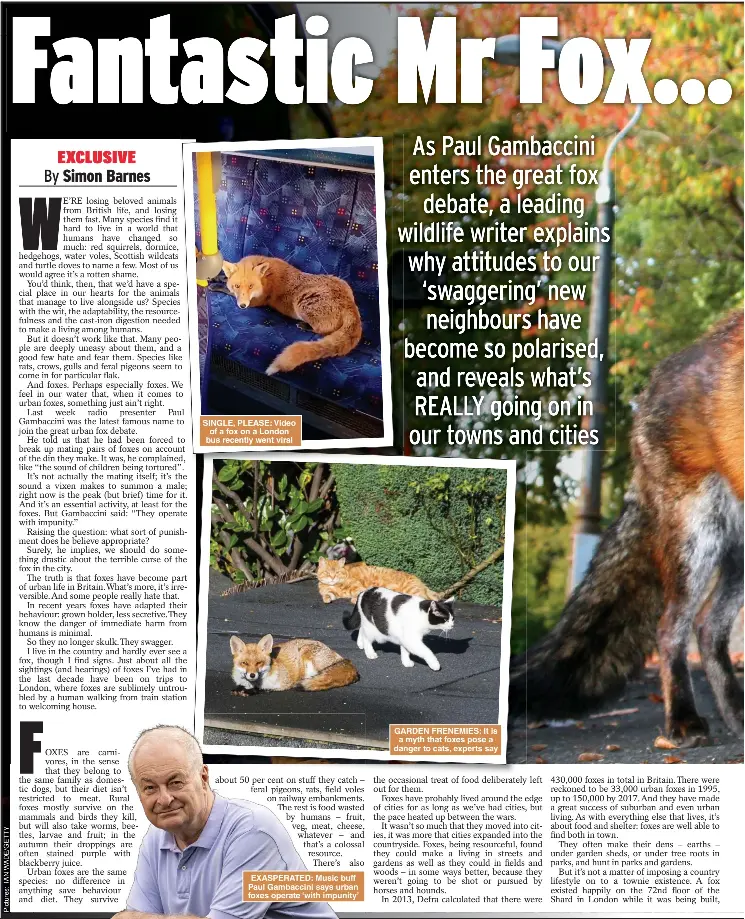 Fantastic Mr Fox… or foul urban pest? - PressReader