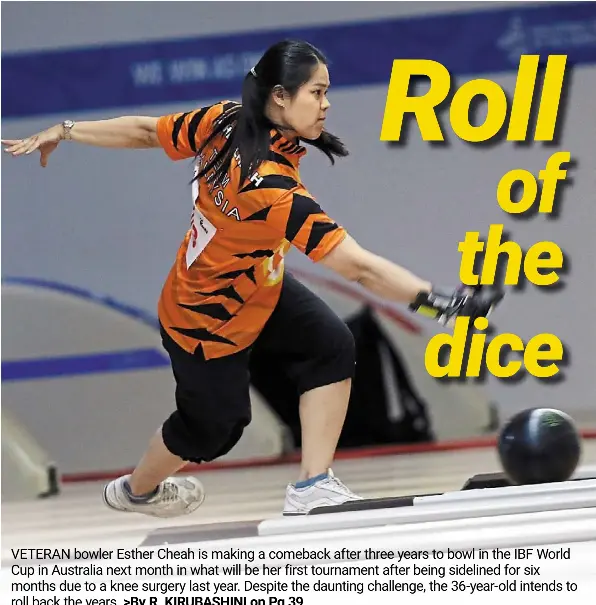 Roll of the dice - PressReader