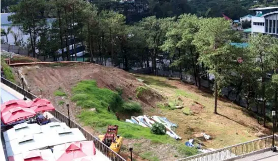 Earth balled trees in mall survive - PressReader