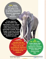 ONE YEAR DOWN, MUTHU RAJA GRADUALLY RECOVERS - PressReader