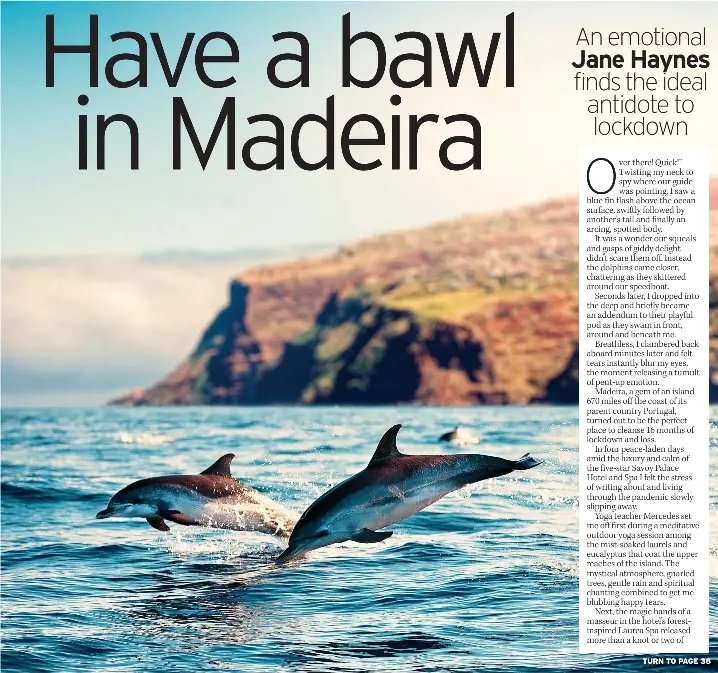 Have a bawl in Madeira - PressReader