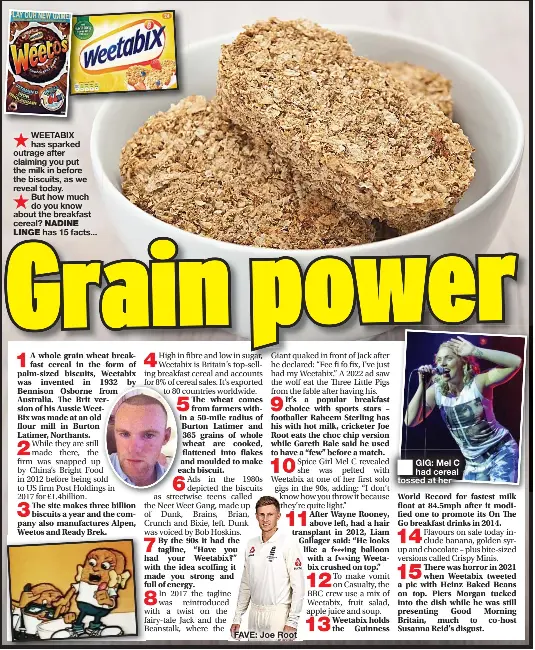 Grain power - PressReader